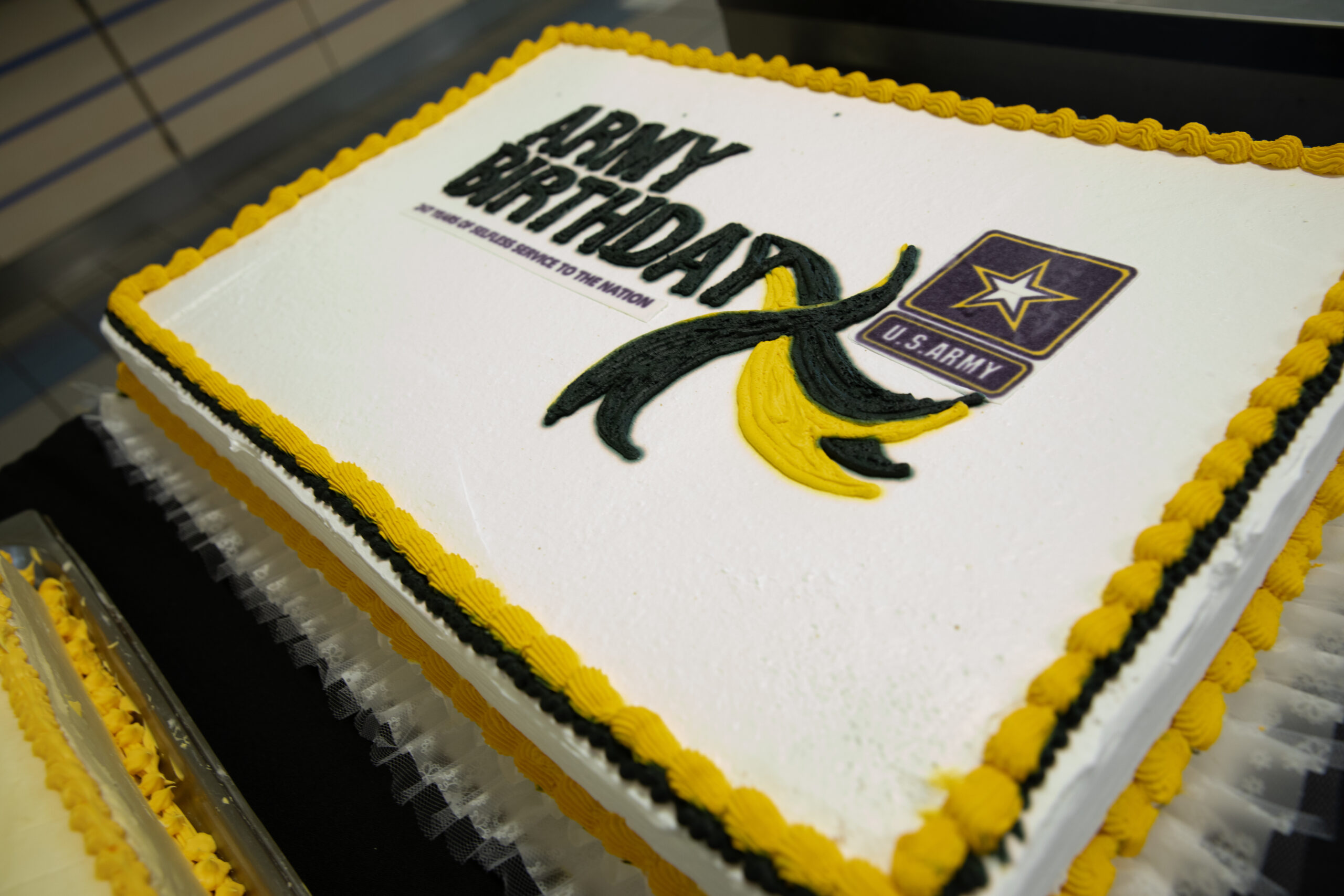 Celebrating the Army birthday | We Are The Mighty