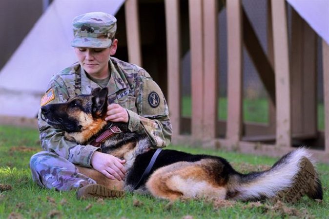 13 pictures of military working dogs being good puppies | We Are The Mighty