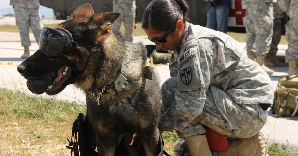 4 missions of the military working dog | We Are The Mighty