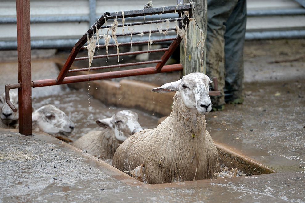 'Sheep Dipping' is the worst name for the military's best job