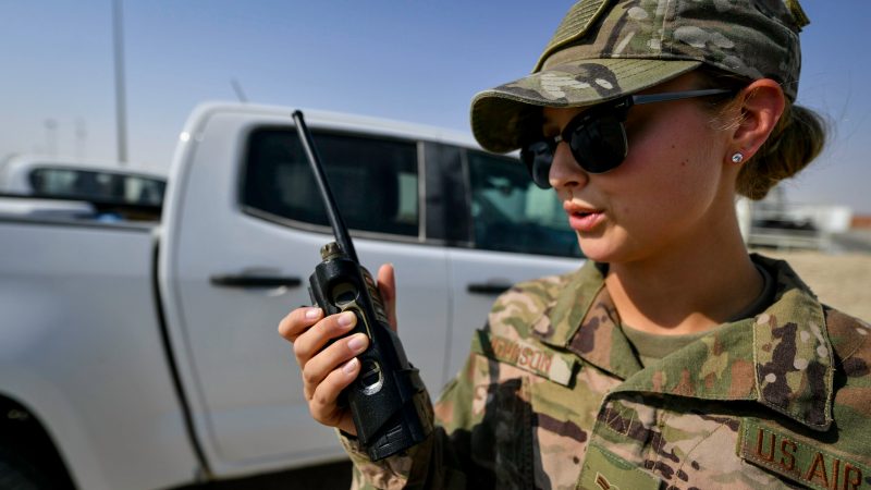 The 7 most effective American war rifles