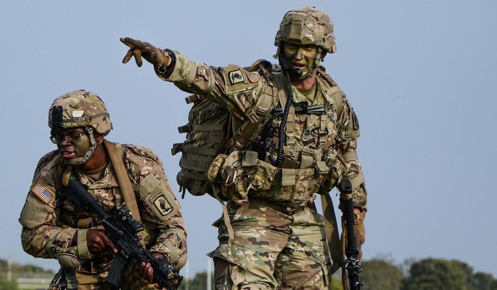 Meaning of the term 'Cannon Fodder'