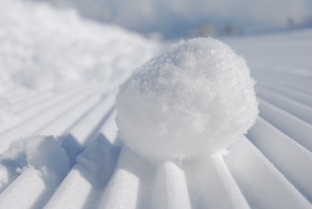 The largest ever snowball fight was fought by the Confederate Army in 1863