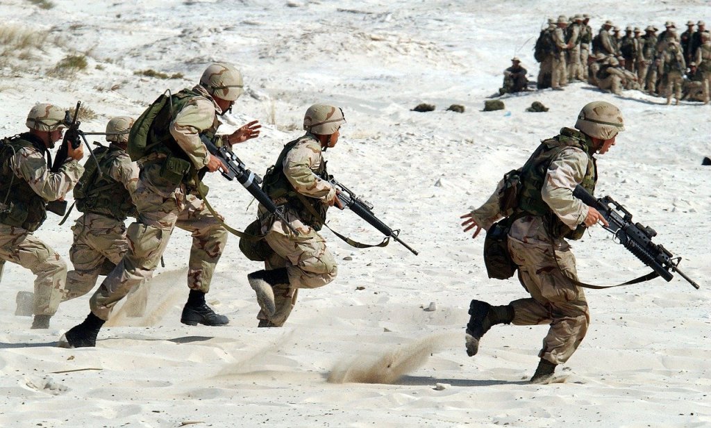 Meaning of the term 'Cannon Fodder'