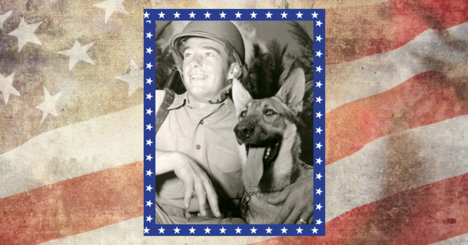 The 1st Marine War Dog Platoon were the 'goodest bois' of WWII