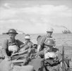 That time crocodiles decided the outcome of a World War II battle
