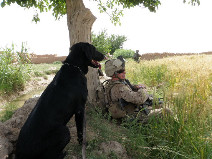 MIGHTY 25: Zachary Bell is more than A (Marine) Veteran With a Sign