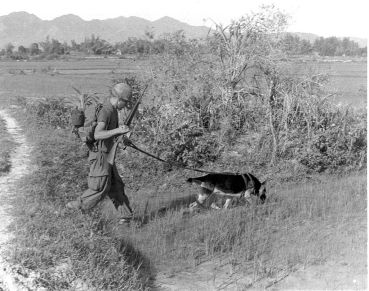 10 military dogs who made history