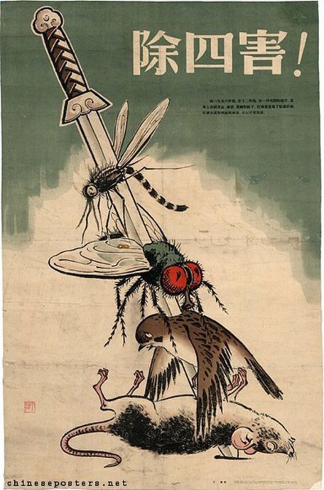 How communist China's war against sparrows killed 55 million people