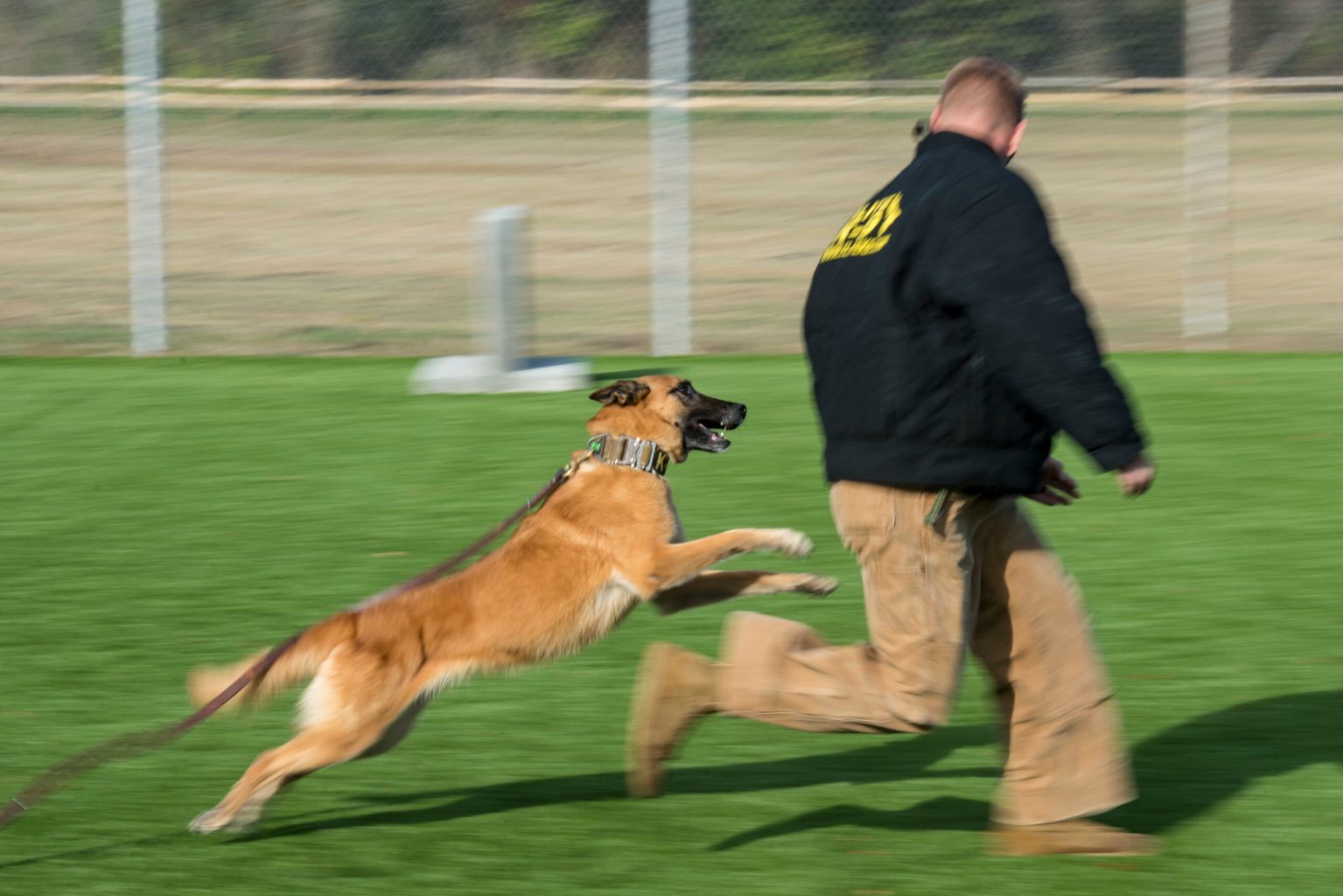 The complete Langley Air Force Base guide