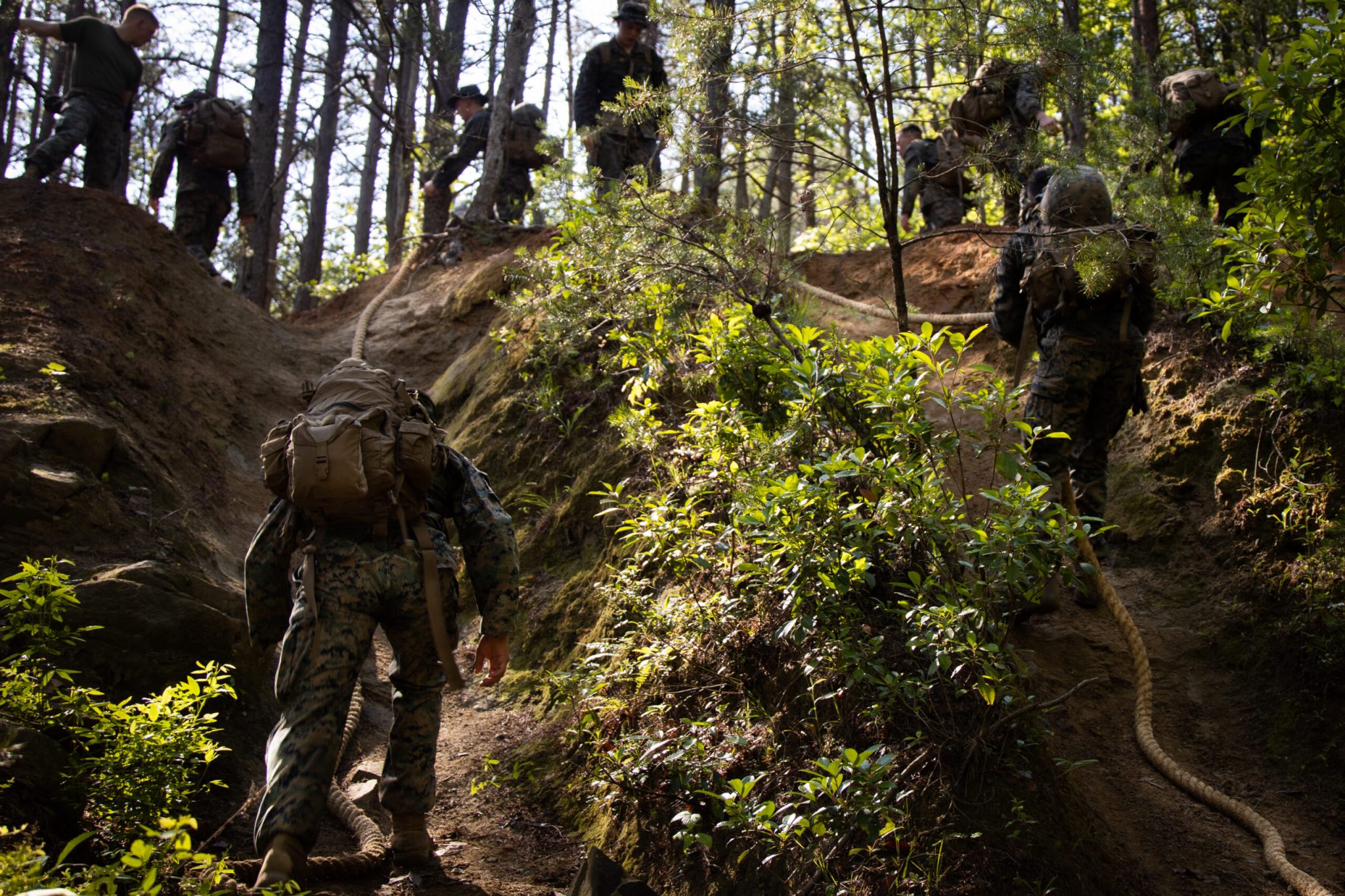 This is why the Marine Corps' success is due to small unit leadership