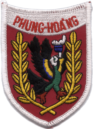 Looking back at the unconventional Green Beret tactics in Vietnam