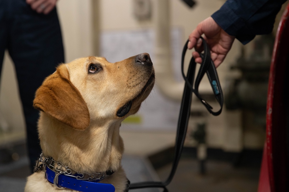 A very good dog just deployed aboard the USS Gerald R. Ford