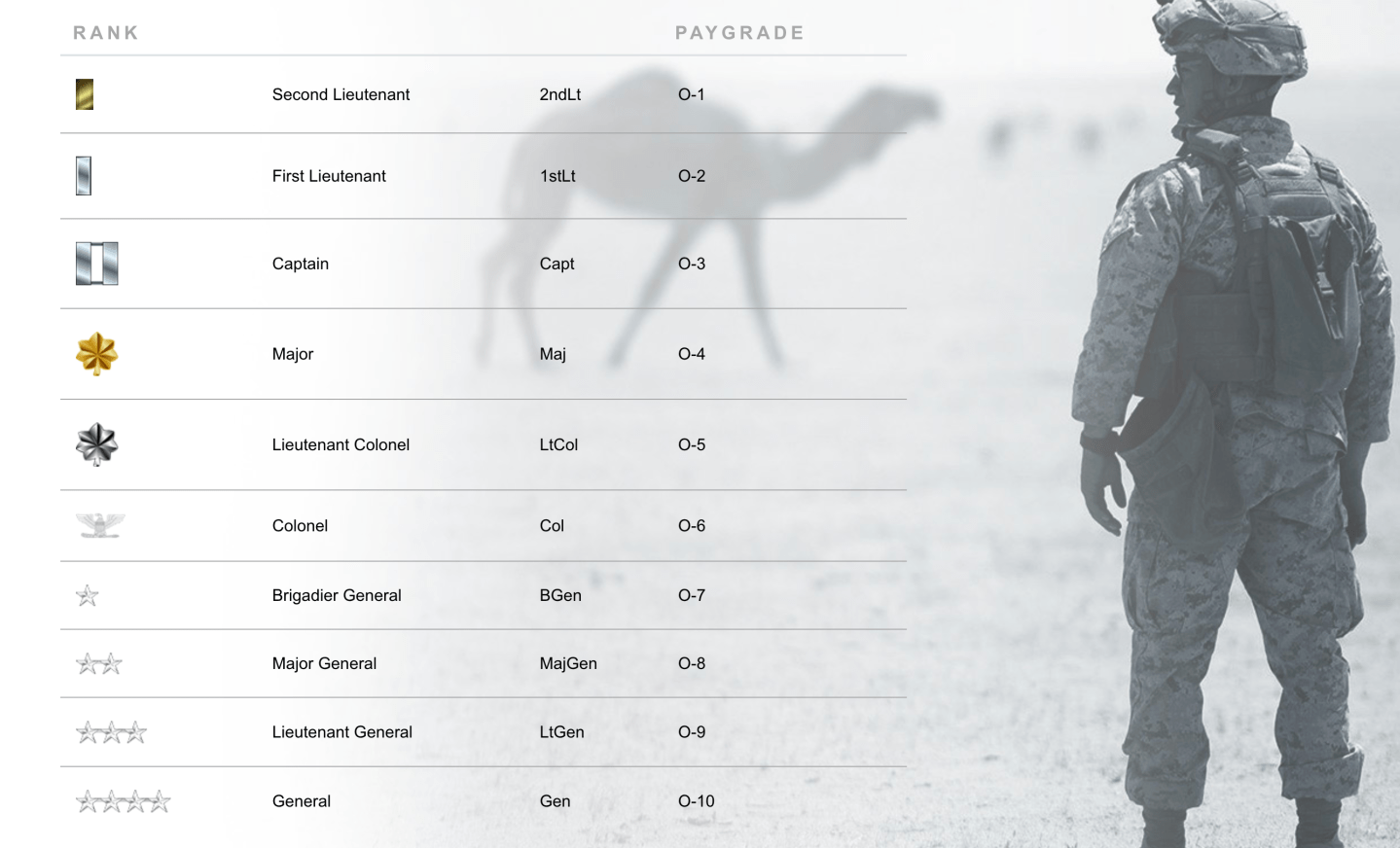 Marine ranks explained