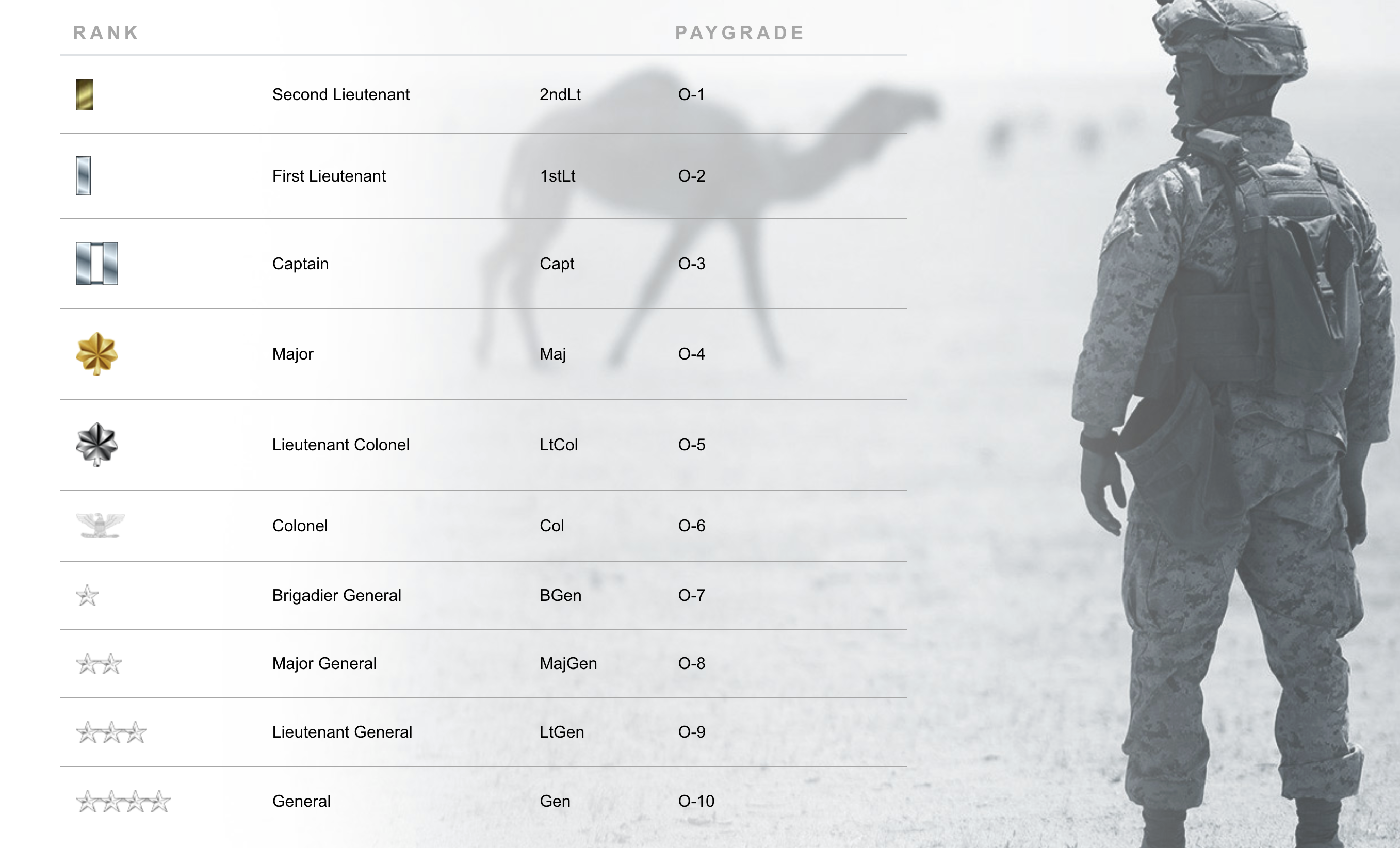 Marine ranks explained