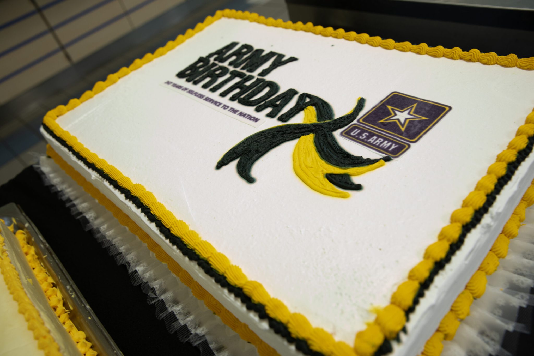 Celebrating the Army birthday