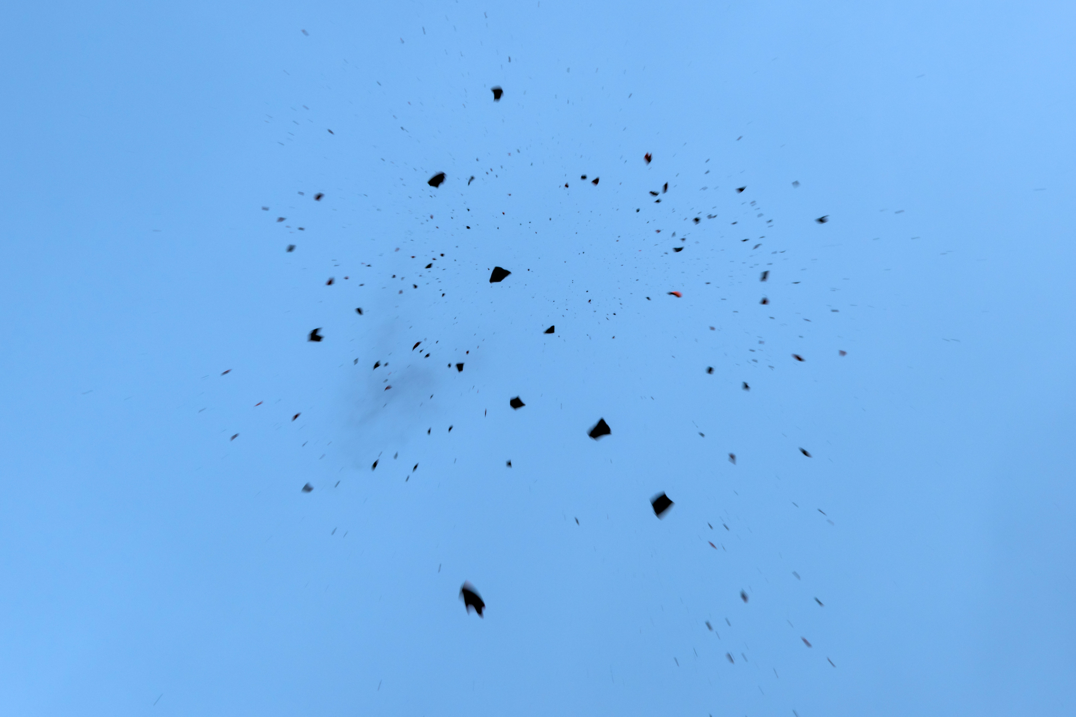 The best shotgun options to buy in 2023