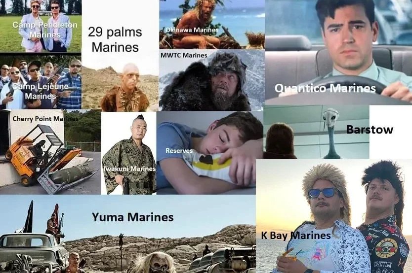 Marine Todd Memes