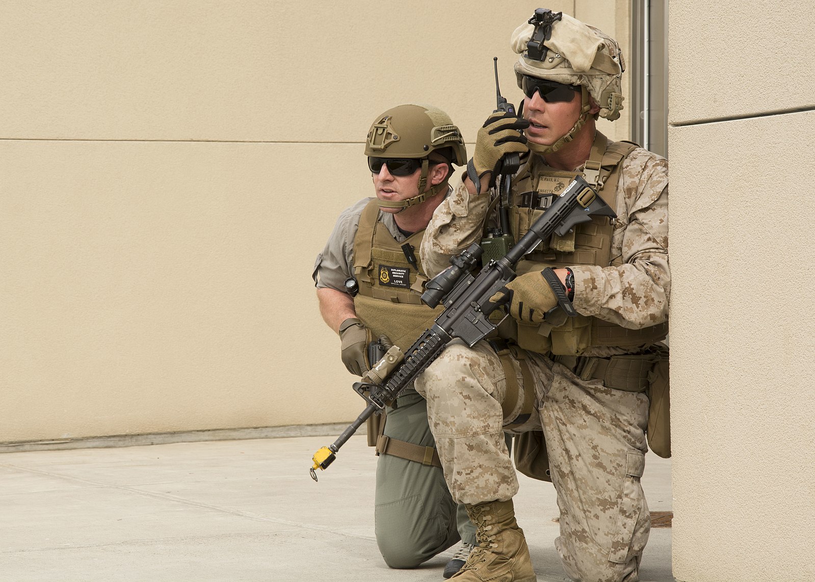 What does the Diplomatic Security Service do?