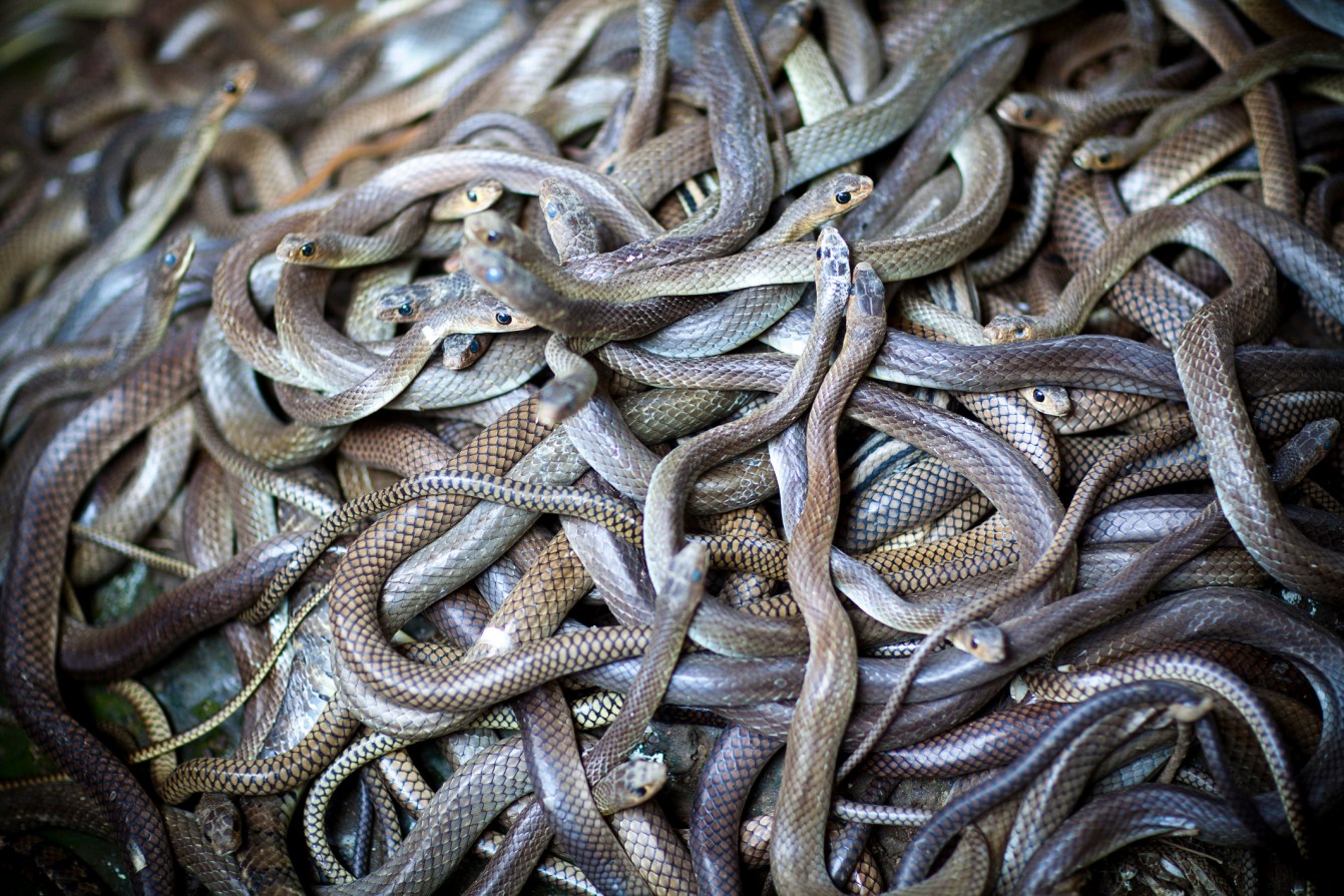 8 of the most terrifying Vietnam War booby traps