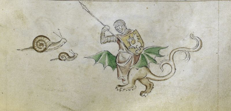 Medieval knights used to fight giant snails and no one knows why