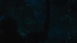 This is what makes SWCC crews so lethal