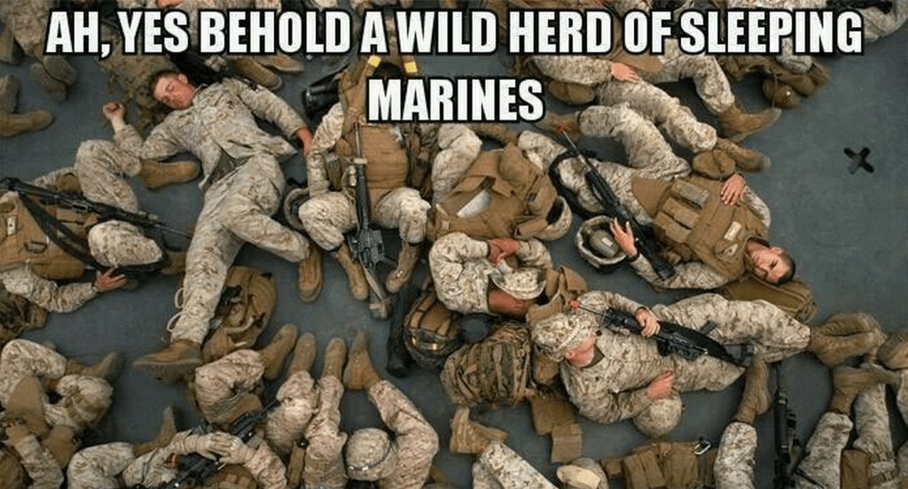 Military Child Memes The 13 Funniest Military Memes Of The Week