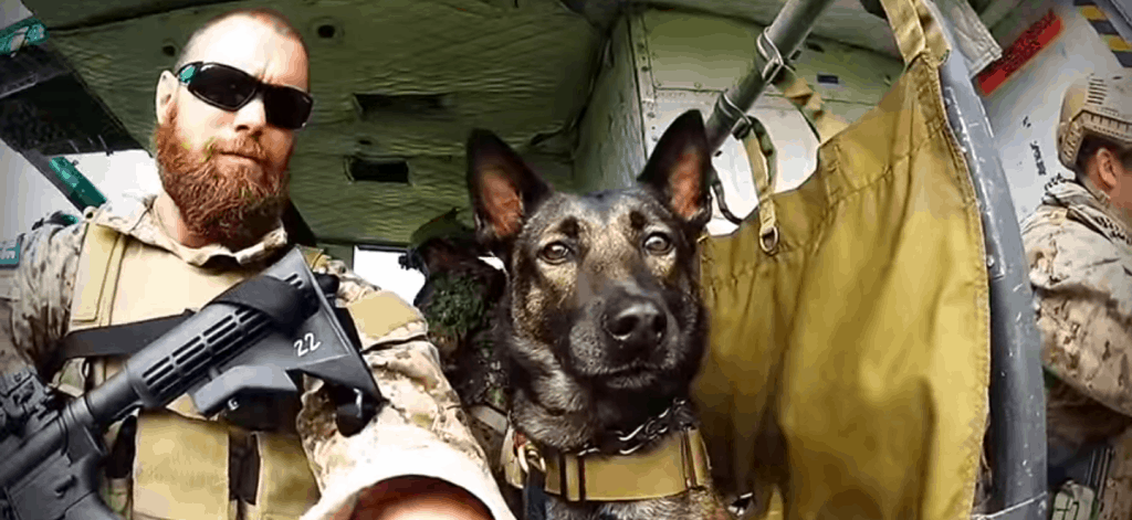 Here's what a military 'war dog' sees while working with US Navy SEALs