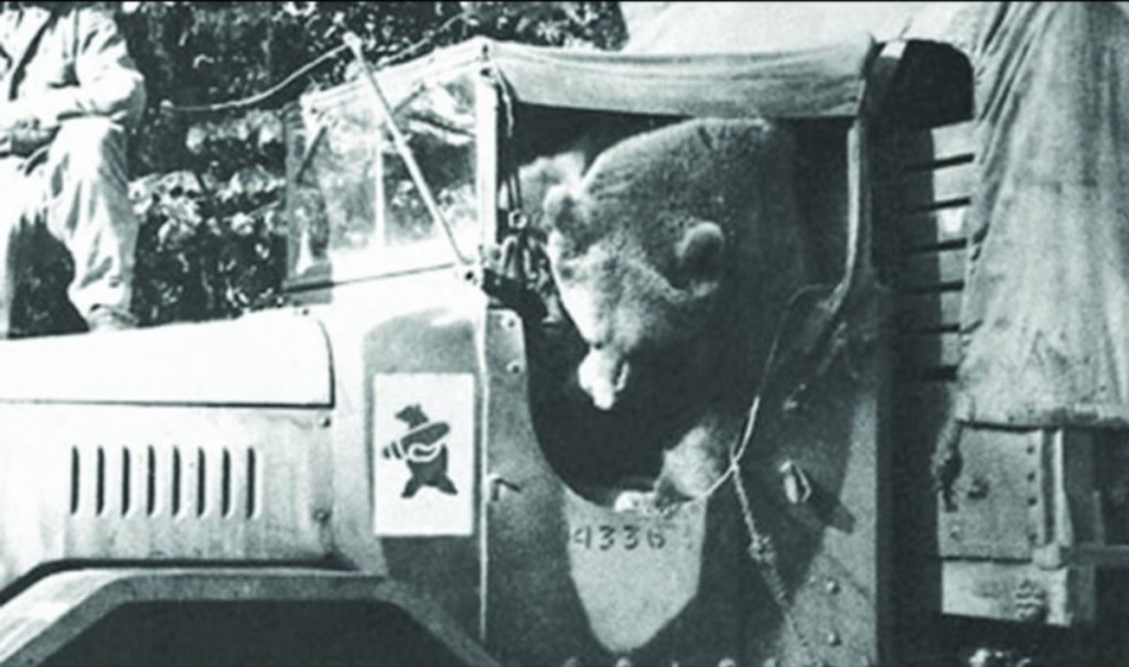 The story of Wojtek: The 440-pound bear that drank, smoked, and carried ...
