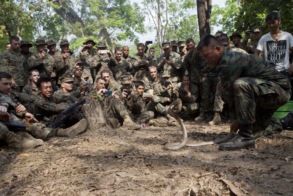 These pictures of Marines drinking Cobra blood are as grisly as you'd ...