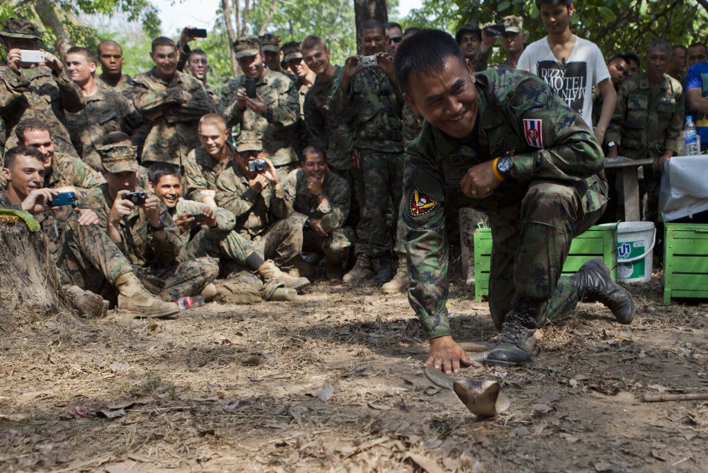 These pictures of Marines drinking Cobra blood are as grisly as you'd ...