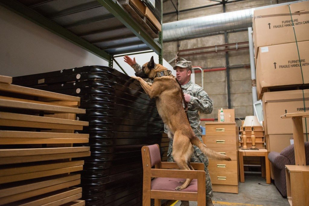 The 7 enlisted jobs with awesome entry-level salaries