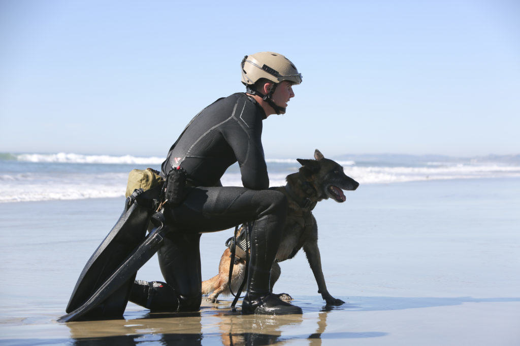 These awesome dogs are full-on MARSOC operators