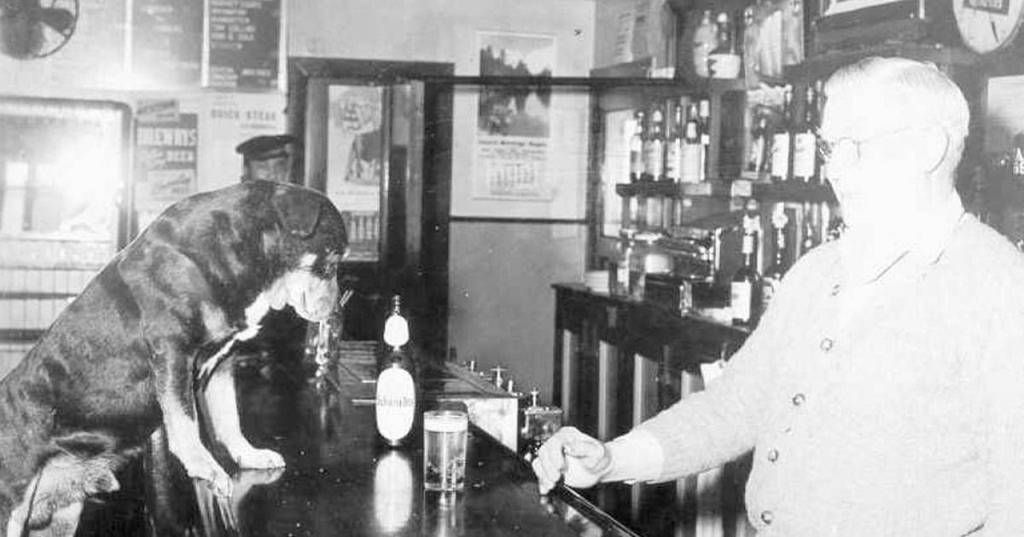 This hard-drinking salty Coast Guard sea dog was banned from Greenland