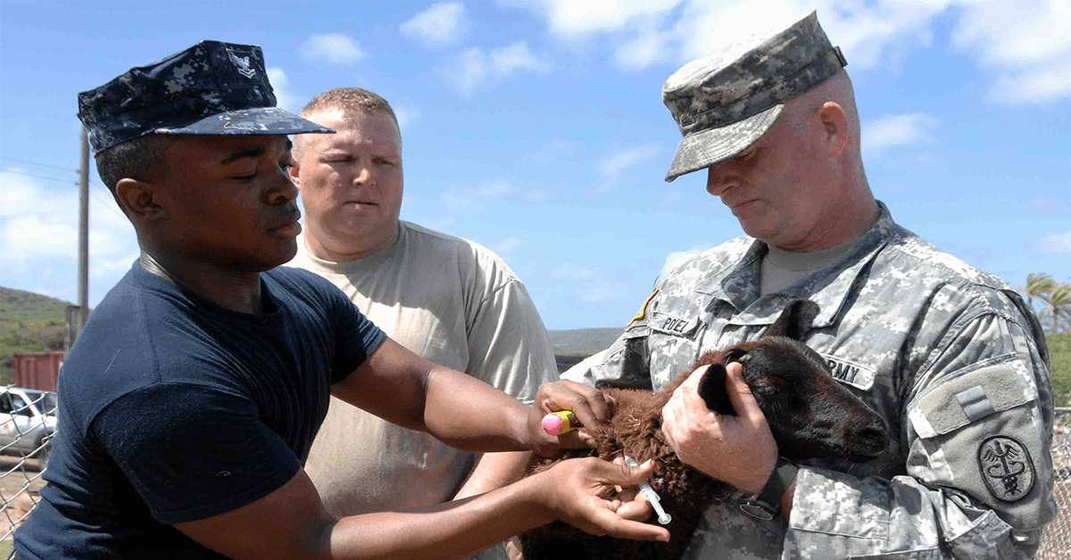 The Army is upgrading to a new rifle optic