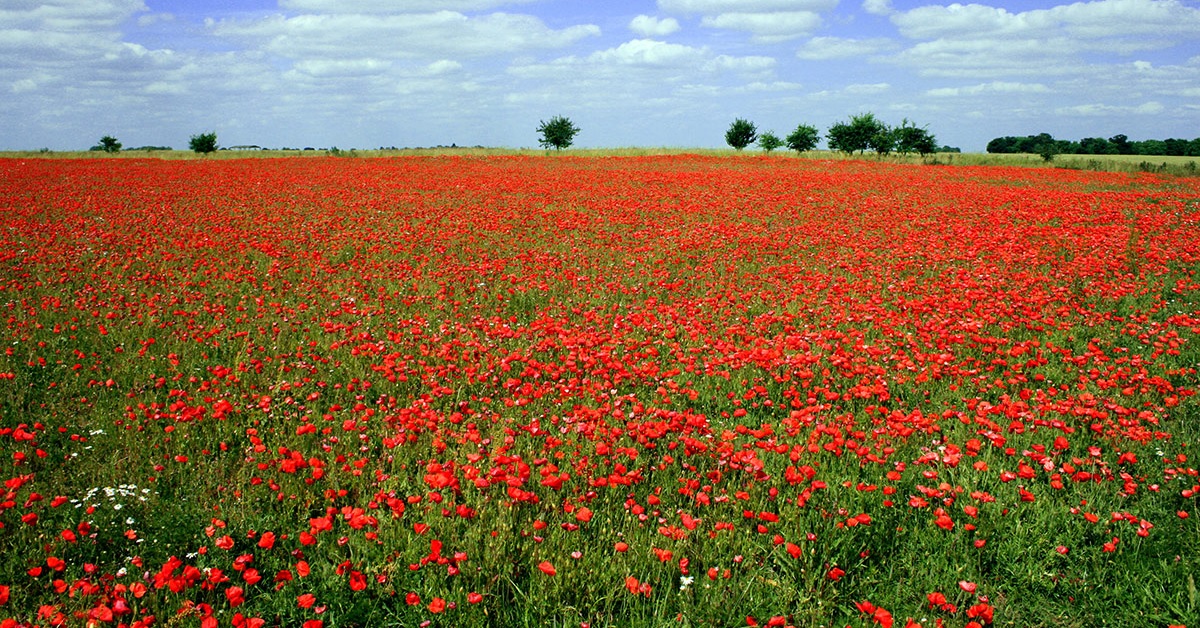 A WW1 explosion in Belgium was so big that it was heard in London