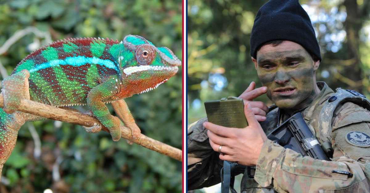 6 dos and don'ts you need to know to become a better marksman