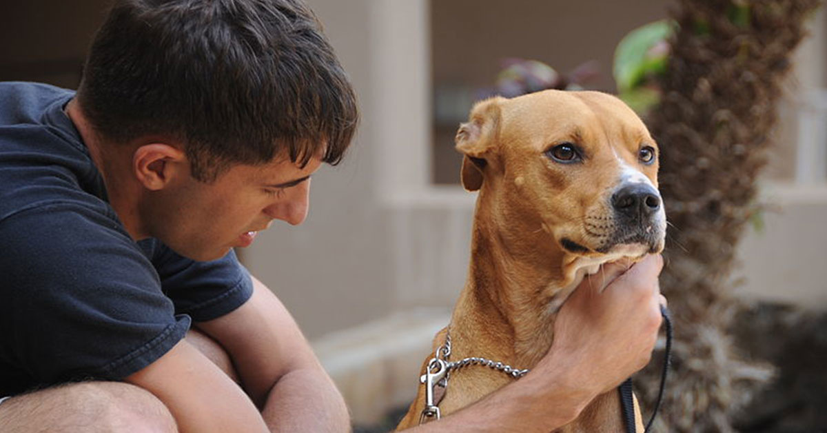 5 reasons why the battle buddy system was secretly brilliant