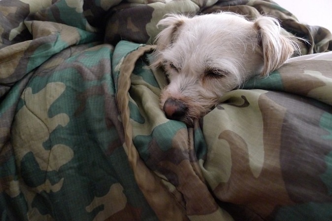 6 uses for the beloved woobie that aren't lining a poncho