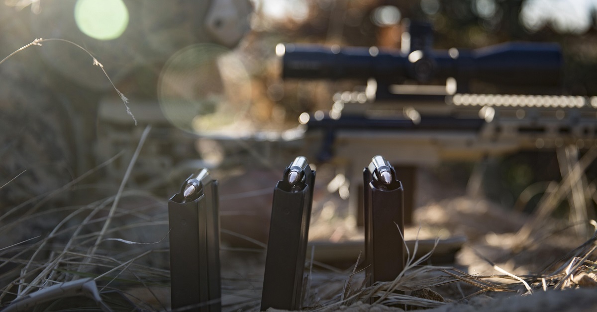 Check out this awesome photo of a sniper and snake