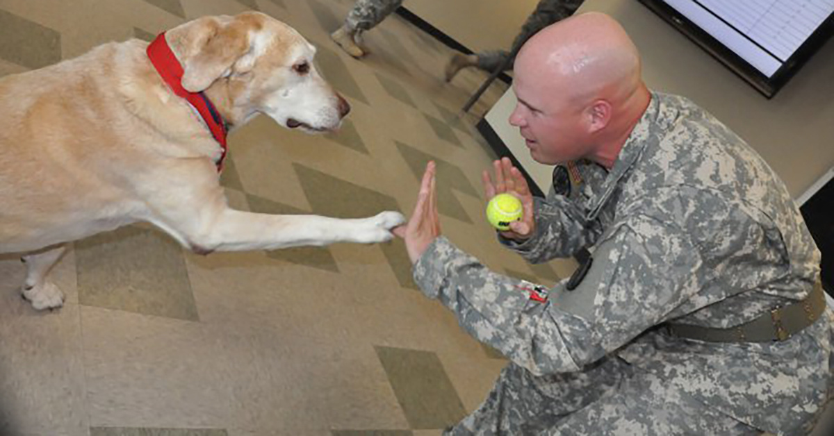 17 Terms Only Military Working Dog Handlers Will Understand