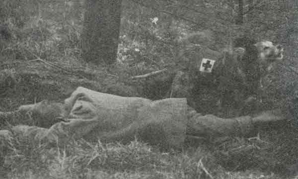 These were the mercy dogs of World War I