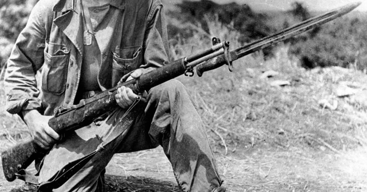 The 7 most effective American war rifles