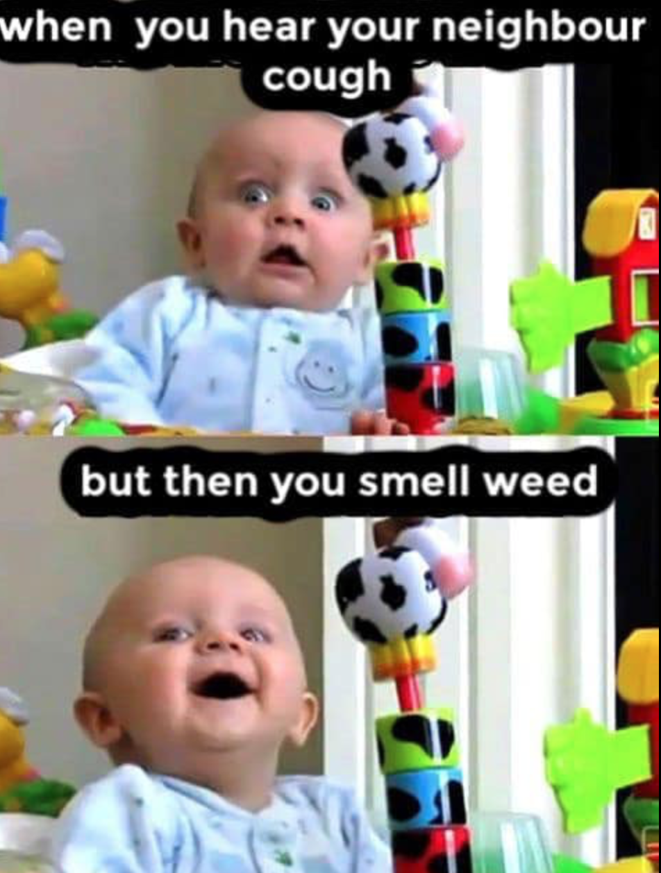 These are the 62 best COVID-19 memes on the internet