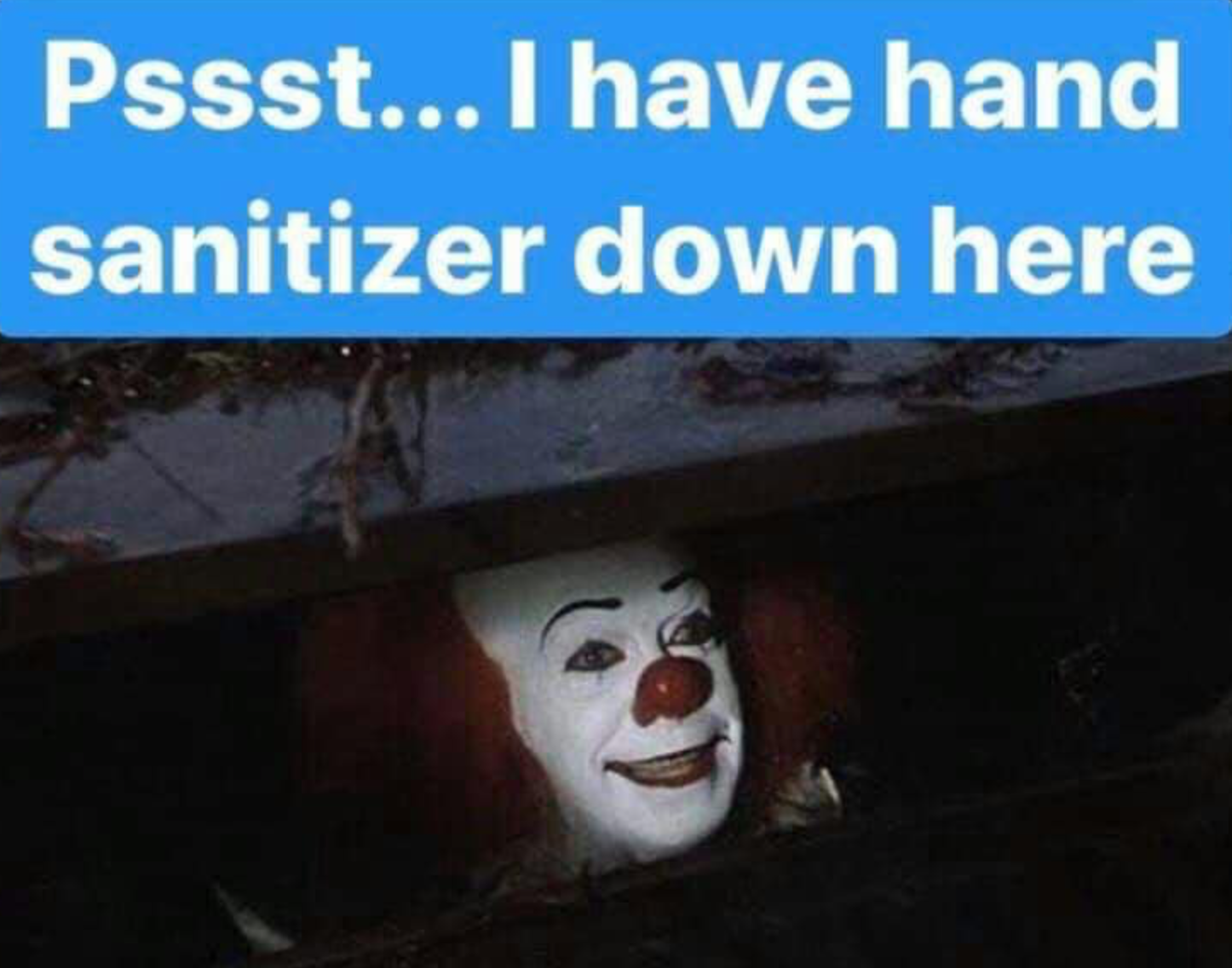 These are the 62 best COVID-19 memes on the internet