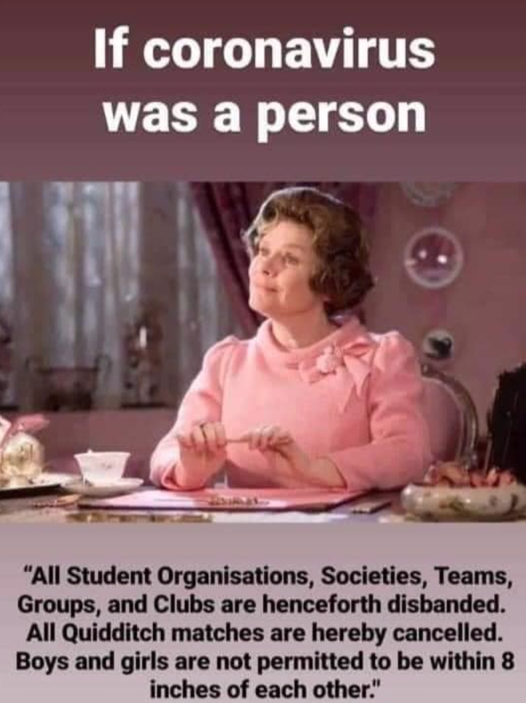 These are the 62 best COVID-19 memes on the internet