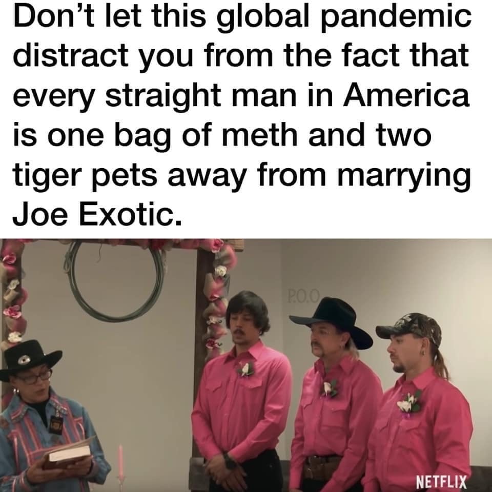 These are the 43 best COVID-19 memes for the week of March 27