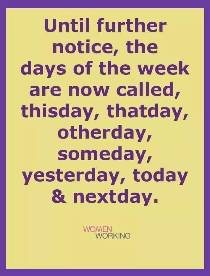 These are the 50 best COVID-19 memes for the week of April 6