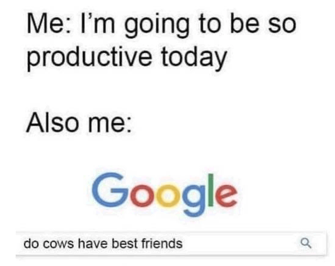 These are the 50 best COVID-19 memes for the week of April 13