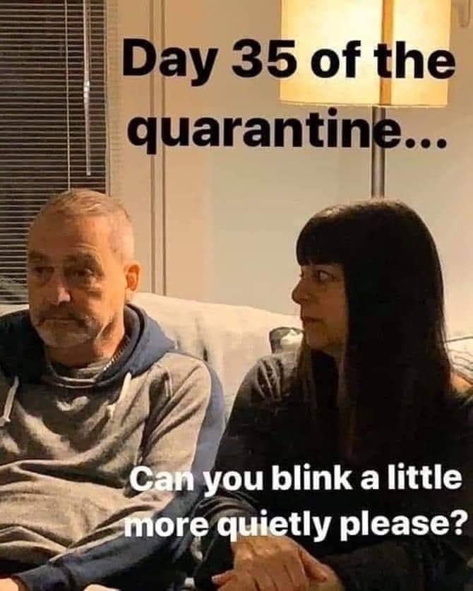 50 best COVID-19 memes for the week of April 20